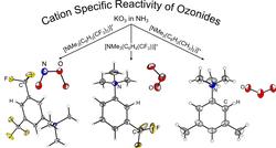 Formation of Peroxynitrite, [O-N-O-O]–, via a Cascade of Reactions ...