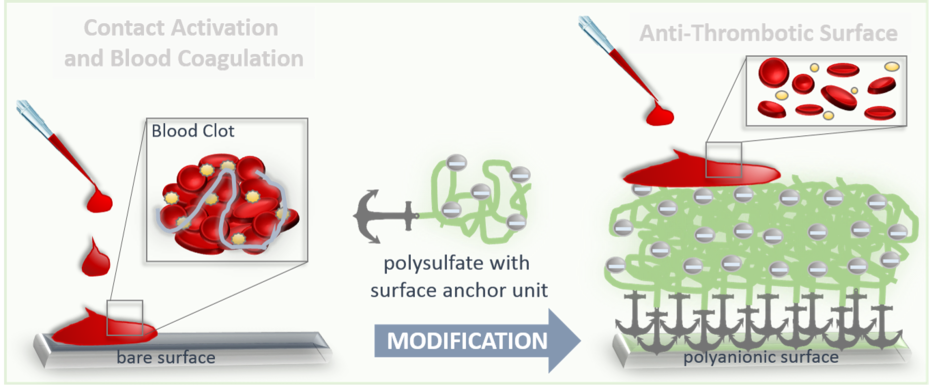 Research • Weinhart Group • Department of Biology, Chemistry, Pharmacy