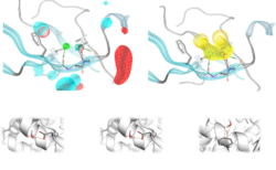 Neue computergestützte Methoden im Wirkstoffdesign • Molekulares ...